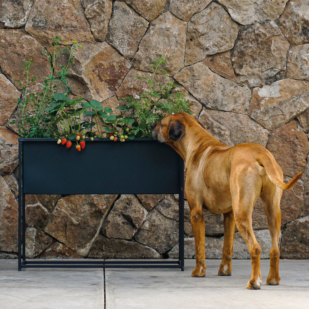 Macetero Carpela – Bonhomía Verde